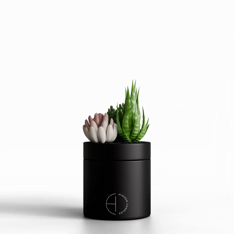 The Hidden Candle - A Succulent & Refillable Candle – Hidden Candles